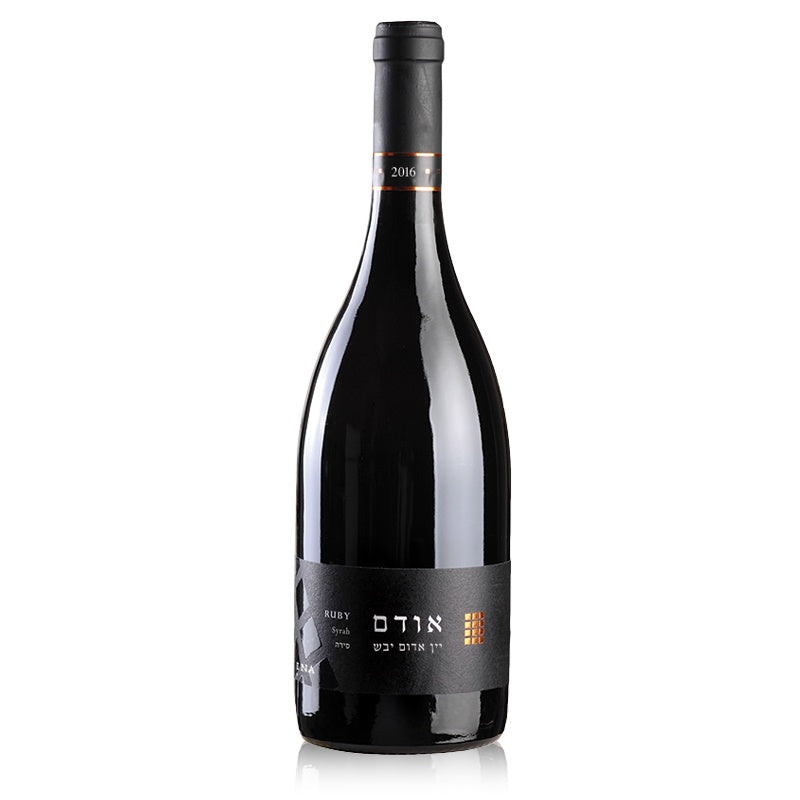 Binyamina The Chosen Ruby Red Blend – MayfairWine